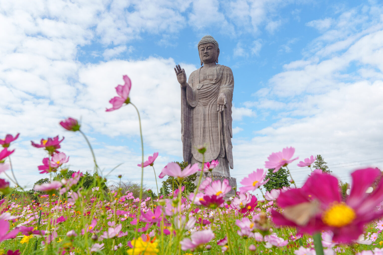 秋を求めて – BUNS STUDIO